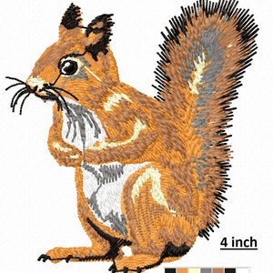 Squirrel Machine Embroidery Design - Etsy