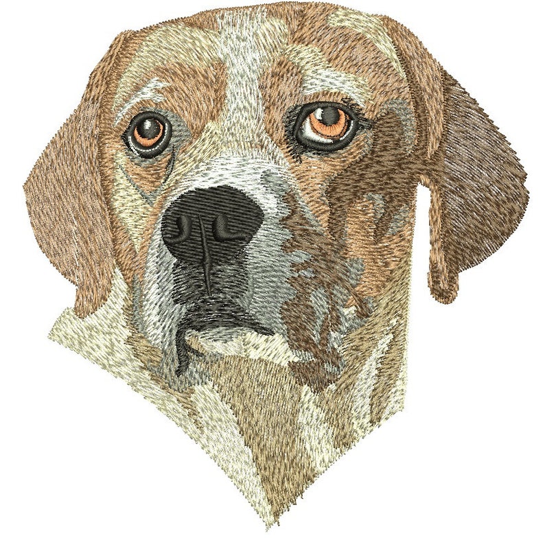 Portuguese Pointer Machine Embroidery Design - Etsy