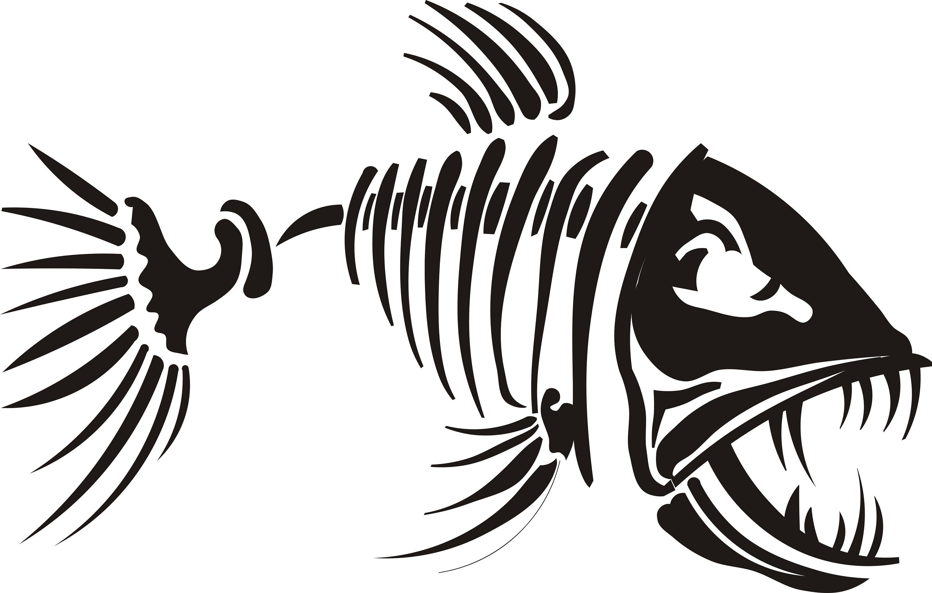 Fish Skeleton SVG. Dxf, PNG. EPS. Jpg Big Size 300 Dpi - Etsy