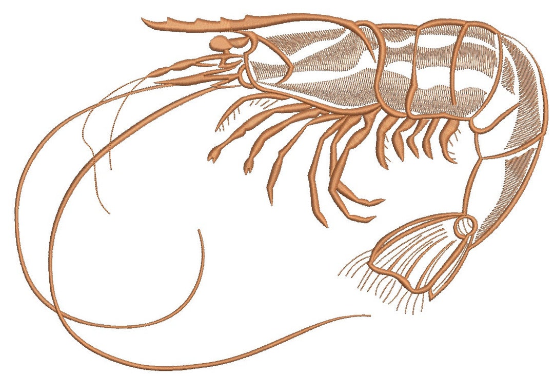 Realistic Shrimp Machine Embroidery Design - Etsy