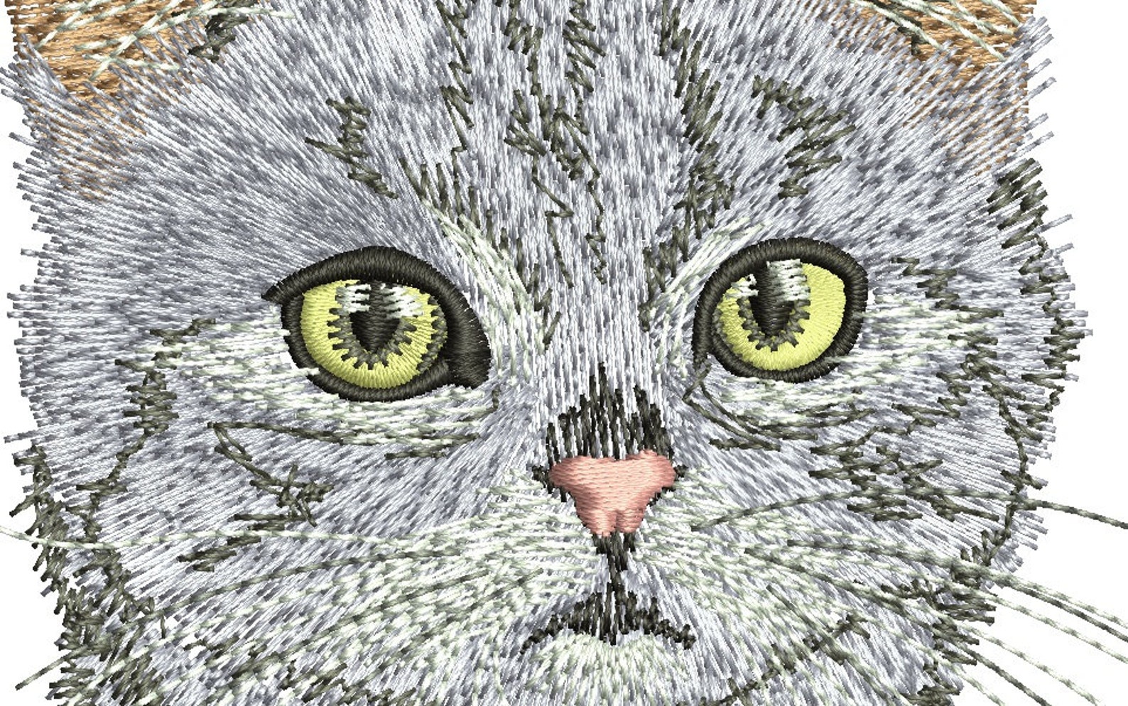 Cat Machine Embroidery Designs Tested - Etsy