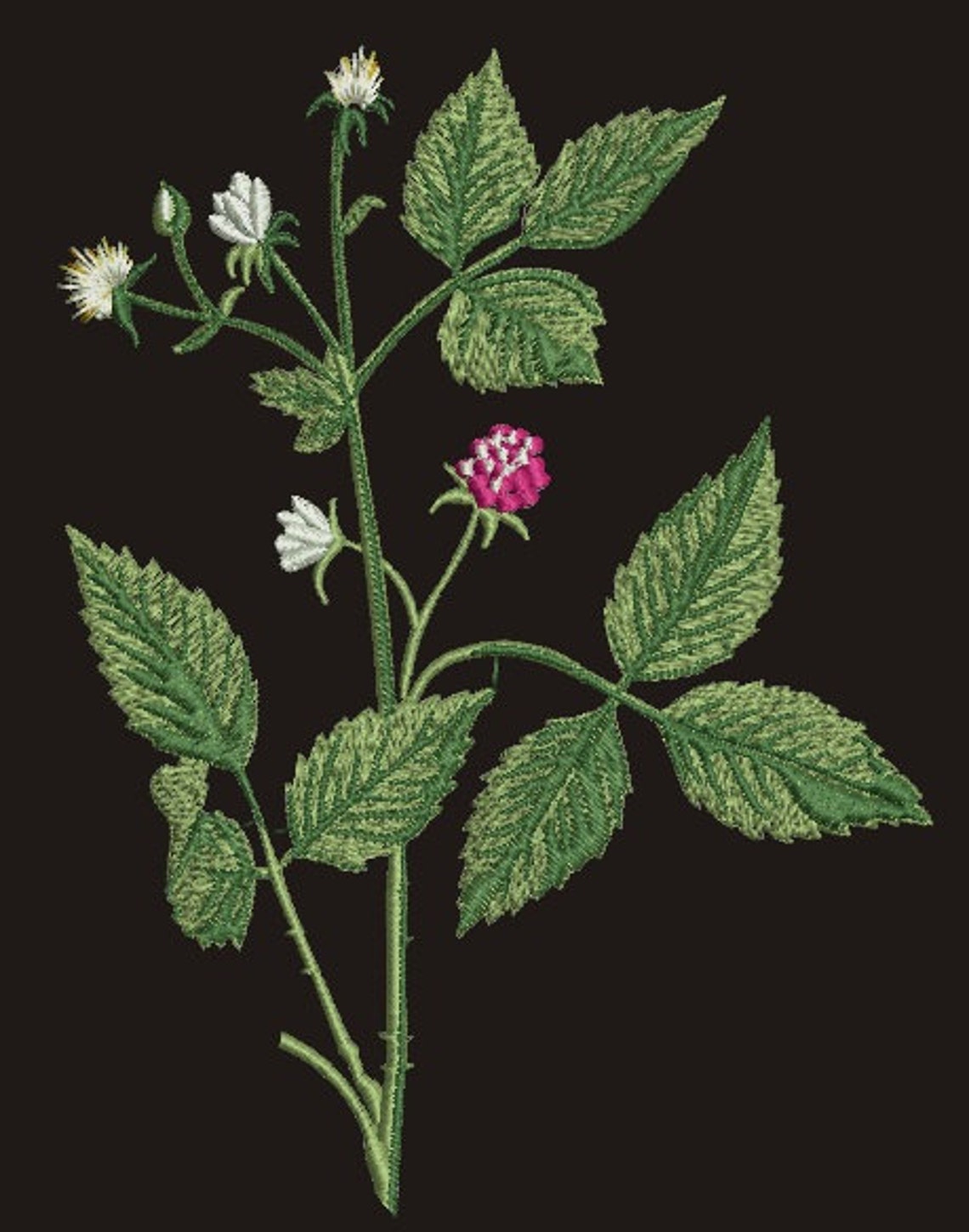 Raspberry Cane Machine Embroidery Design - Etsy