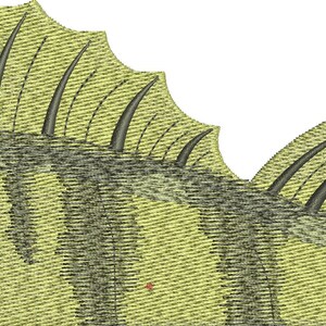 Bass Fish Perch Machine Embroidery Design Instant Download - Etsy