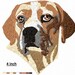 Portuguese Pointer Machine Embroidery Design - Etsy