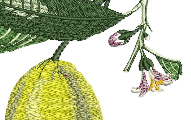Lemon Embroidery Machine Embroidery Design Tested - Etsy