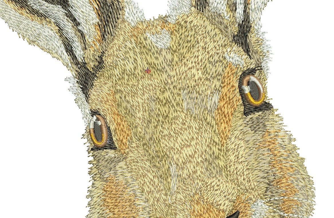 Brown Rabbit Wild Hare Machine Embroidery Design Tested | Etsy