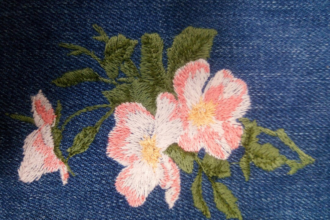 Rosehip Cinnamon / Wild Rose Embroidery Machine Embroidery Design - Etsy