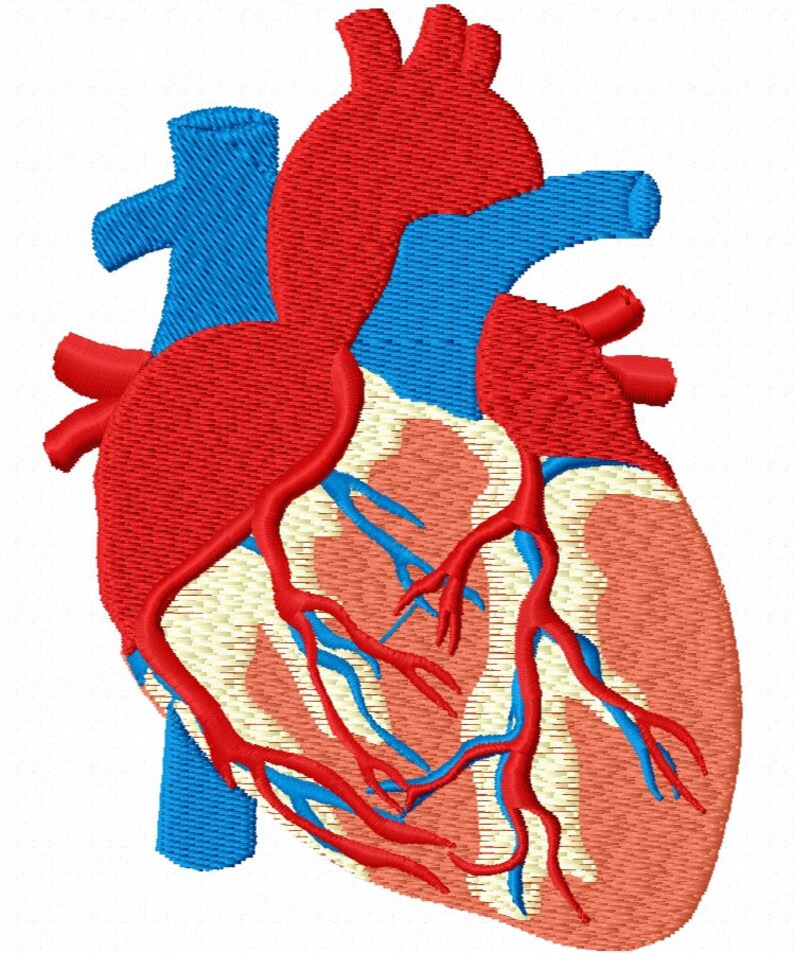 Realistic Human Heart Machine Embroidery Design / Instant | Etsy