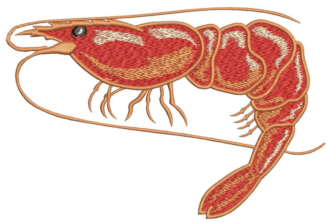 Realistic Shrimp Machine Embroidery Design - Etsy