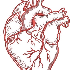 Realistic Human Heart Machine Embroidery Design / Instant Download - Etsy