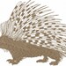 Porcupine Machine Embroidery Designs INSTANT DOWNLOAD - Etsy