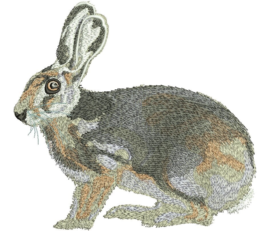 Hare Rabbit Embroidery Machine Embroidery Designs Design is - Etsy