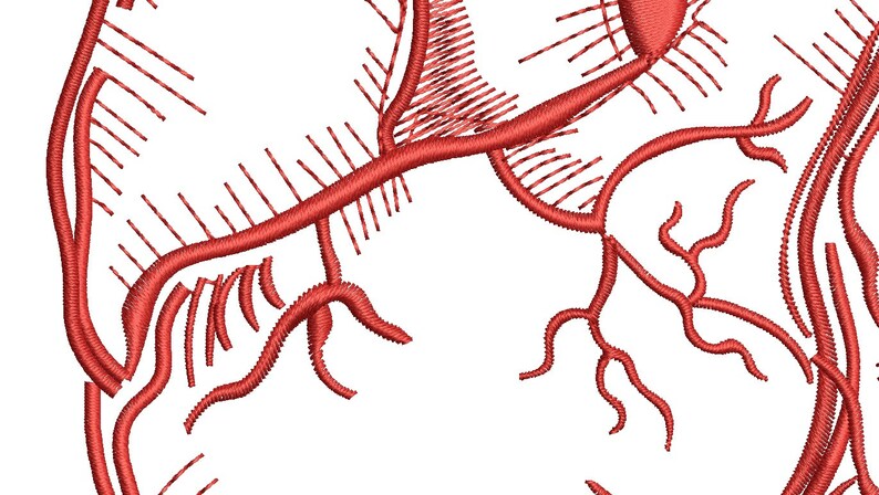 Realistic Human Heart Machine Embroidery Design / Instant | Etsy