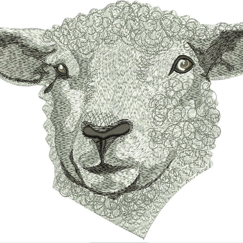 Sheep Embroidery - Etsy