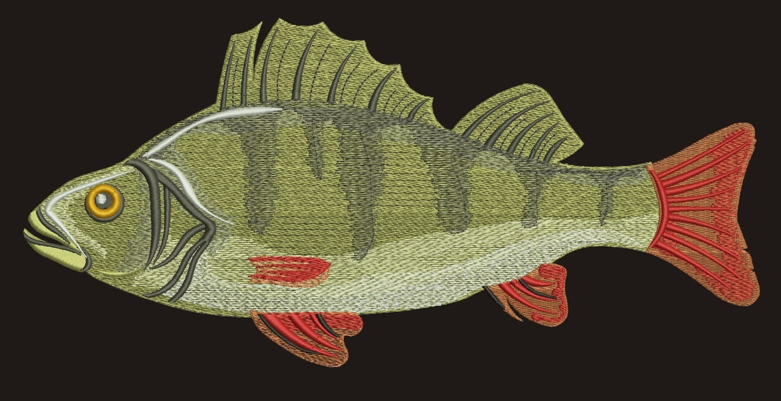 Bass Fish Perch Machine Embroidery Design Instant Download | Etsy