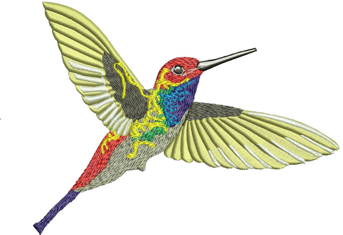 Hummingbird Colibri Machine Embroidery Design Tested - Etsy