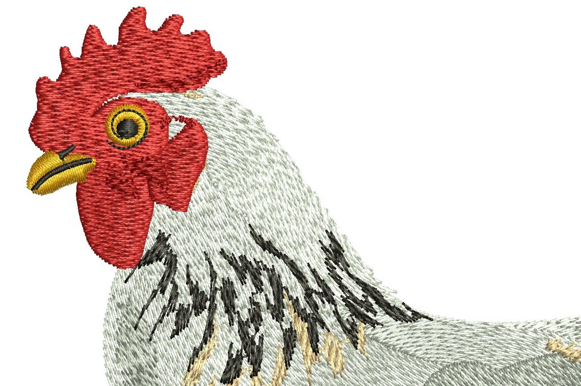Chicken Machine Embroidery Design | Etsy