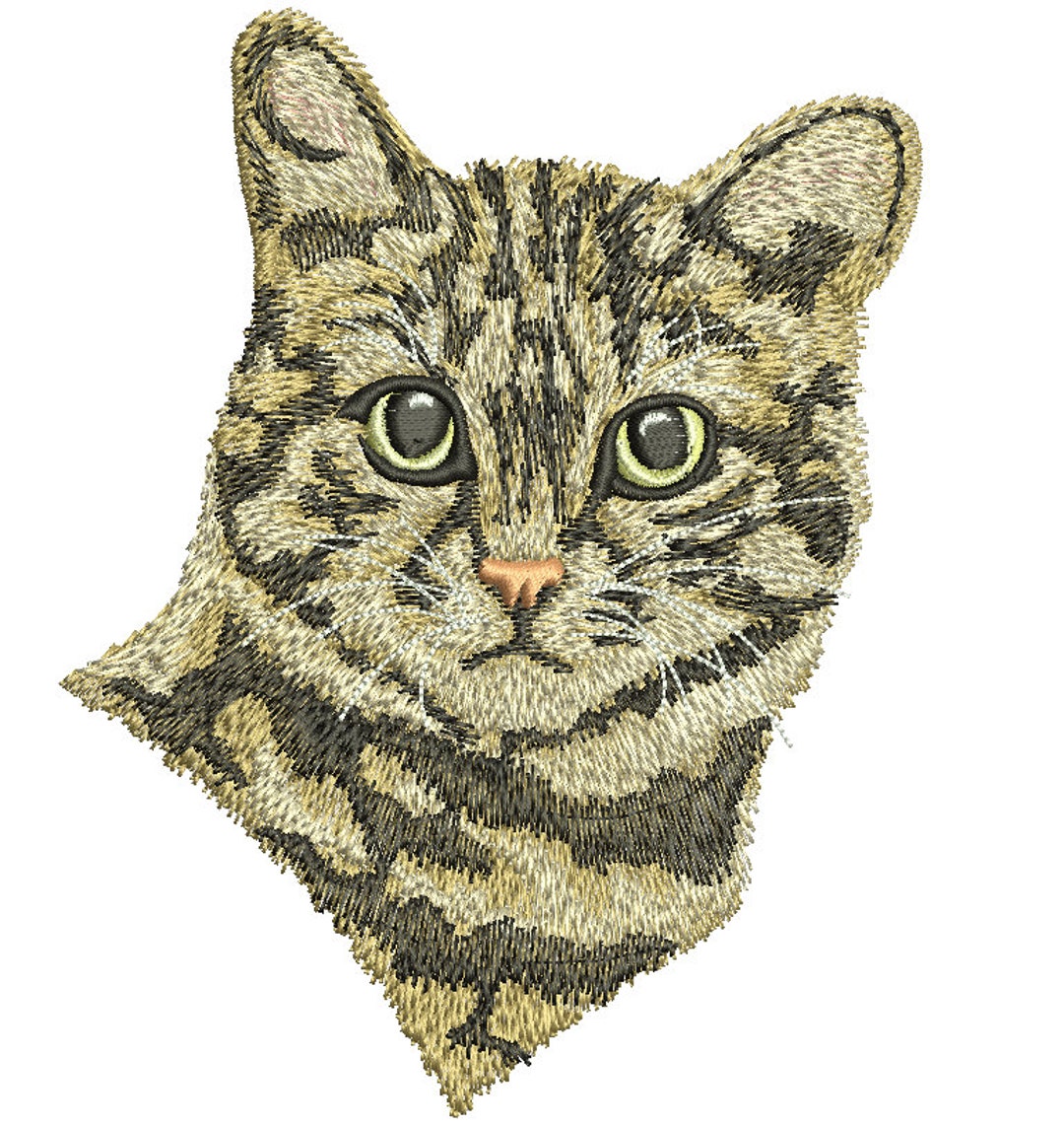 Cat Machine Embroidery Designs Tested - Etsy