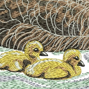 Wild Duck Swims With Ducklings Embroidery Machine Embroidery Design ...