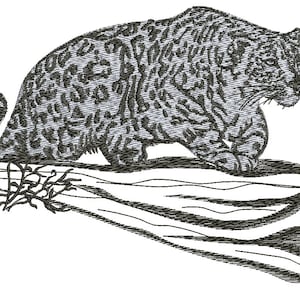 Snow Leopard Machine Embroidery Design, Instant Download - Etsy
