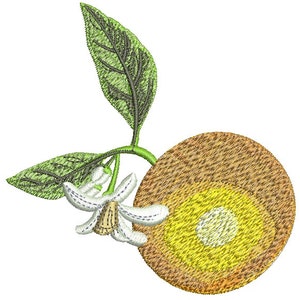 Orange Embroidery - Machine Embroidery Design - Etsy