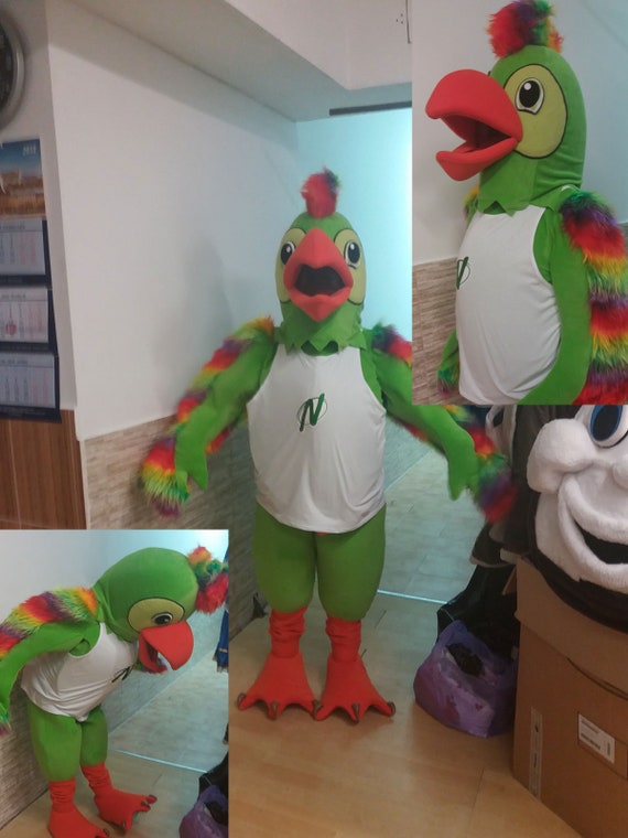 Custom Mascot Costumes