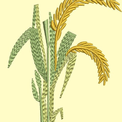 Sheaf of Wheat Tied With a Ribbon Machine Embroidery Designs - Etsy