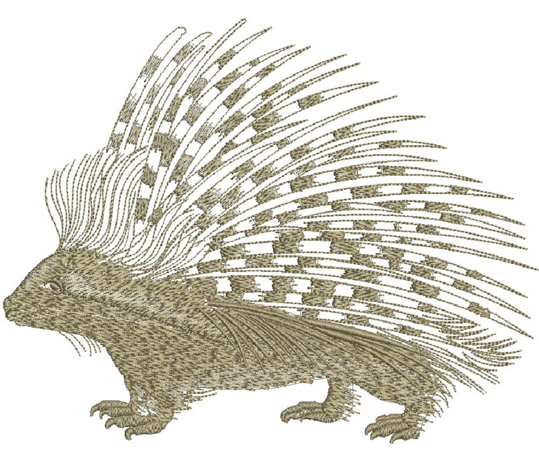 Porcupine Machine Embroidery Designs INSTANT DOWNLOAD - Etsy
