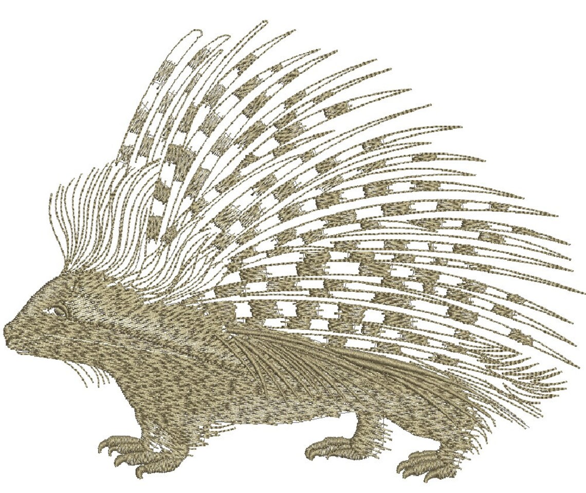 Porcupine Machine Embroidery Designs INSTANT DOWNLOAD - Etsy