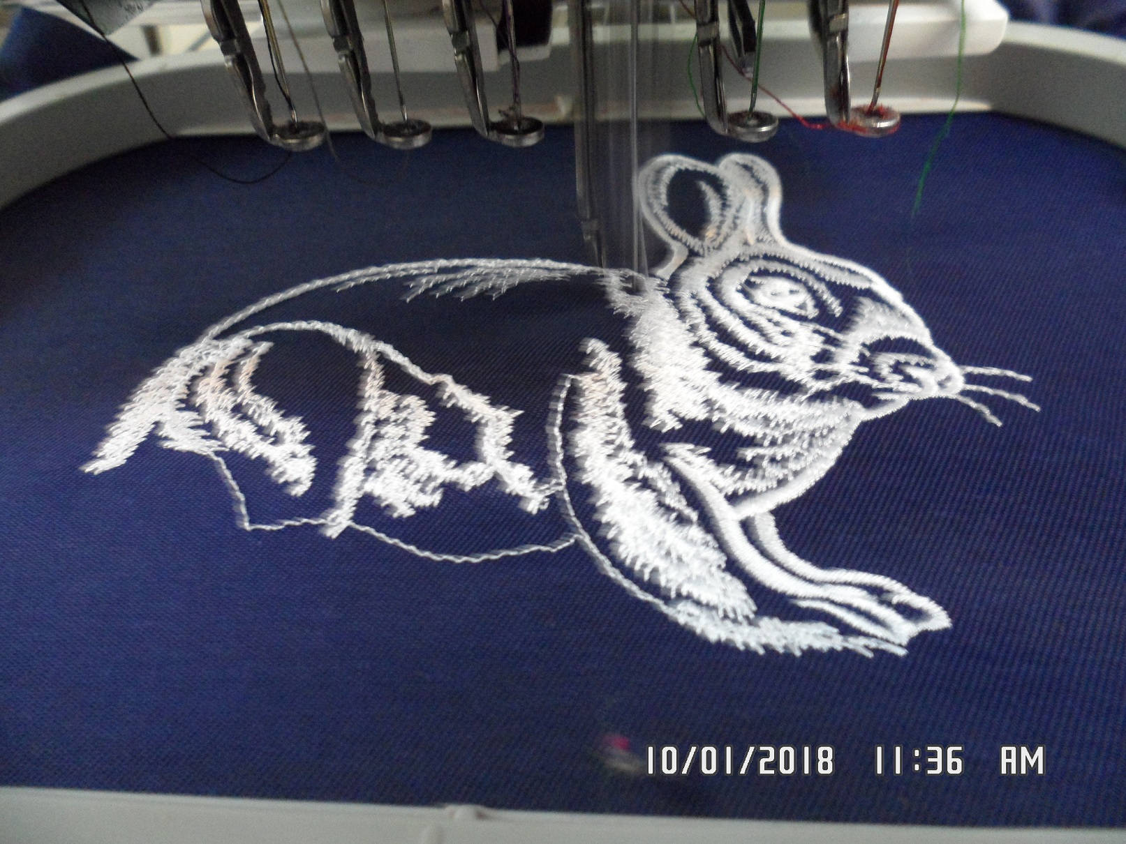 Rabbit Machine Embroidery Design Tested | Etsy
