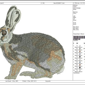 Hare Rabbit Embroidery, Machine Embroidery Designs Design is Tight ...