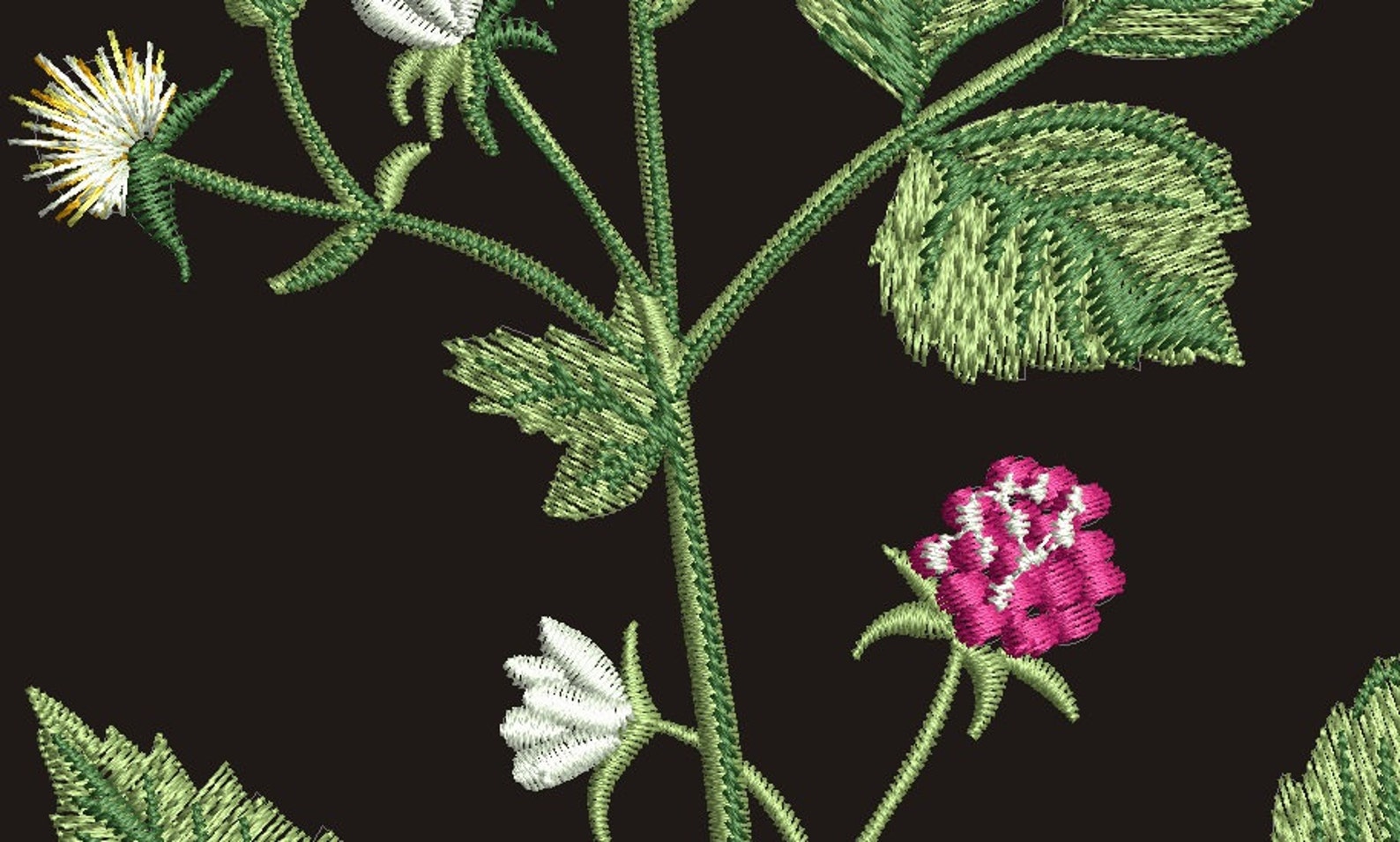 Raspberry Cane Machine Embroidery Design - Etsy