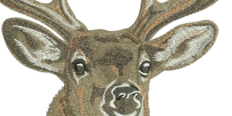 Whitetail Buck Deer Head Machine Embroidery Design Instant - Etsy