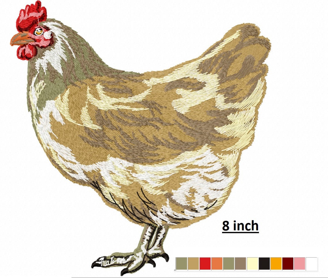 Realistic Chicken Machine Embroidery Design - Etsy