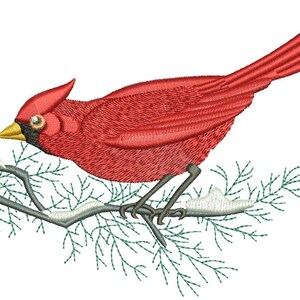 Red Cardinal Bird Machine Embroidery Design - - Etsy