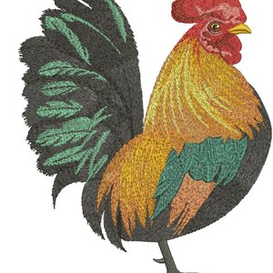 Rooster Machine Embroidery Design - Etsy