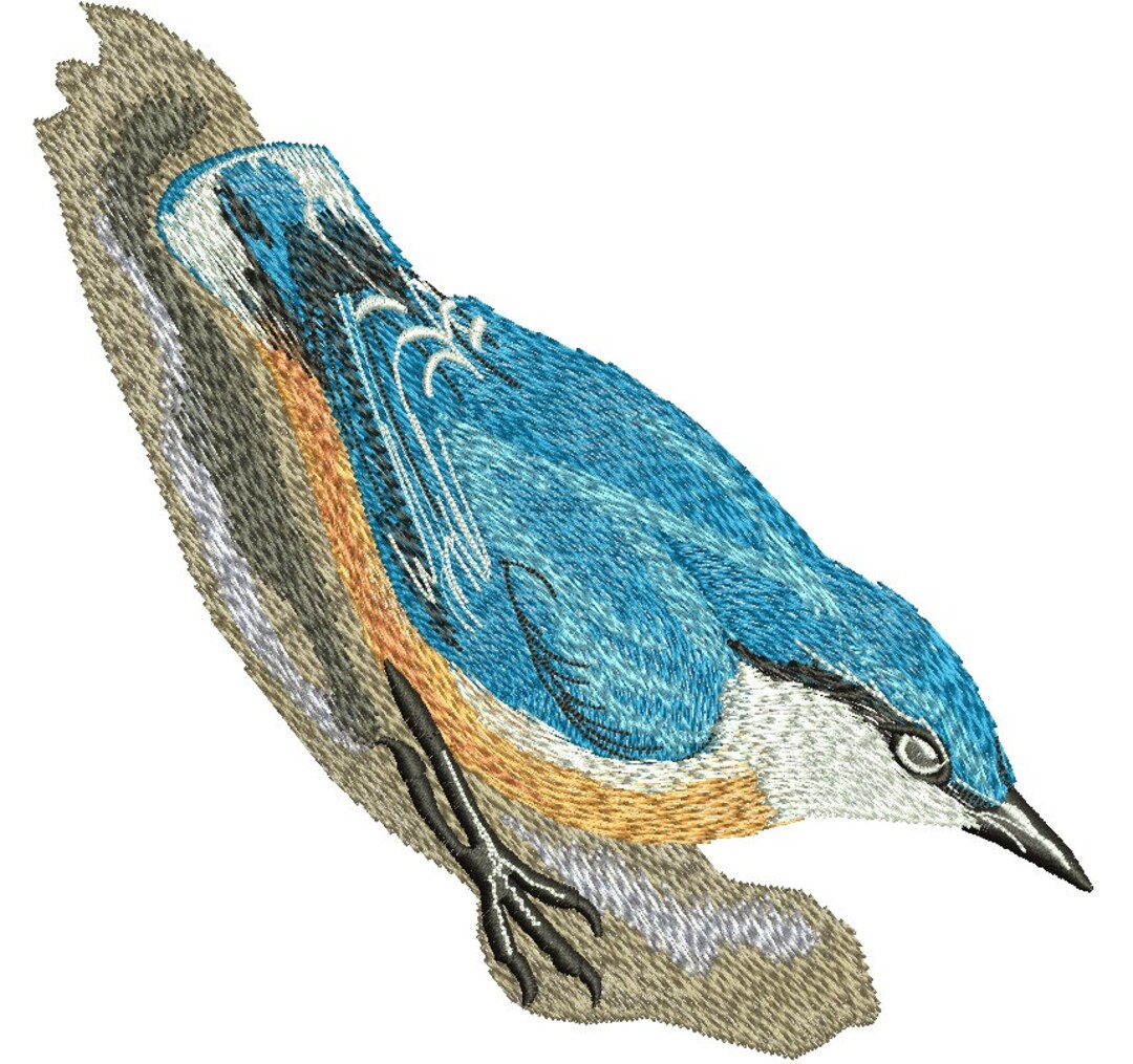 Bird Machine Embroidery Design - - Etsy