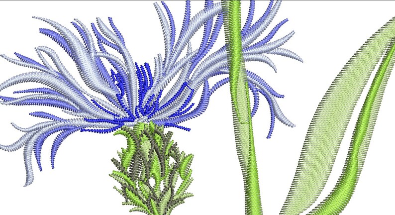 Cornflower / Knapweed Machine Embroidery Design - Etsy