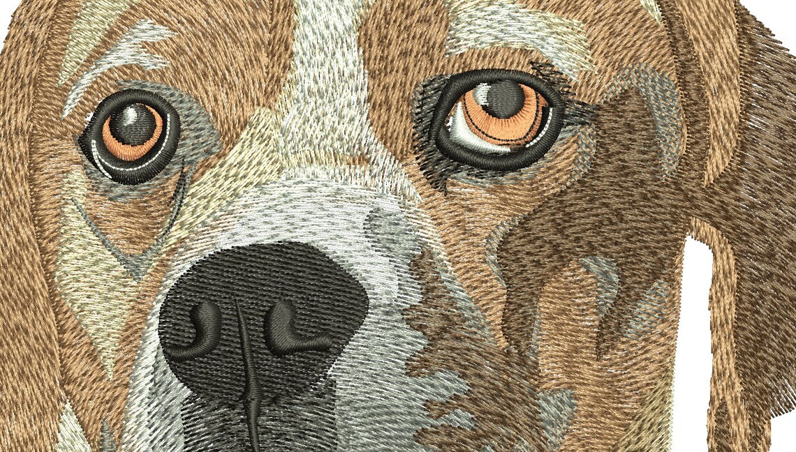 Portuguese Pointer Machine Embroidery Design - Etsy