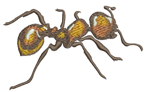Realistic Ant Modern Embroidery Insects Embroidery Patterns | Etsy