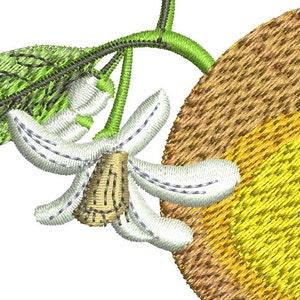 Orange Embroidery - Machine Embroidery Design - Etsy