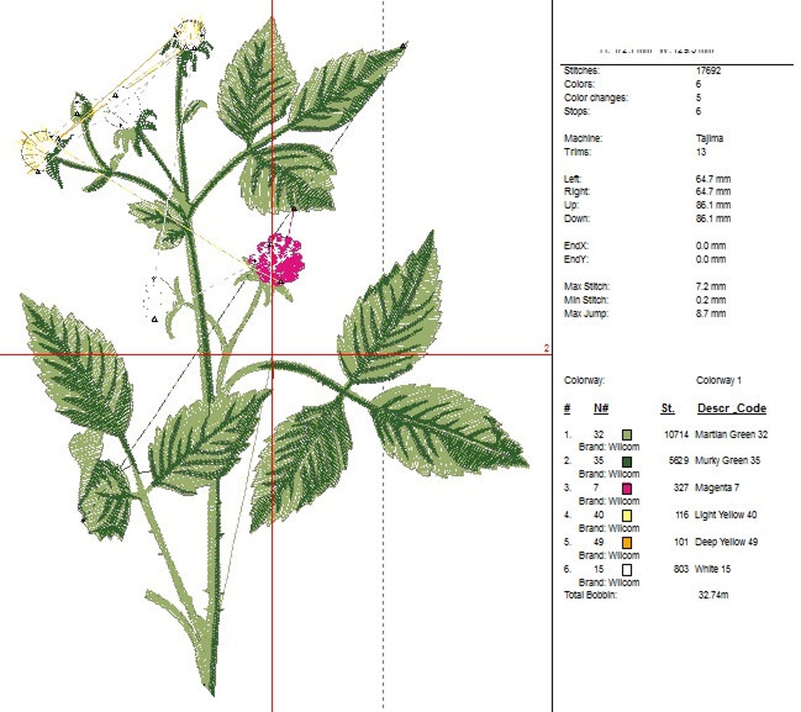 Raspberry Cane Machine Embroidery Design - Etsy