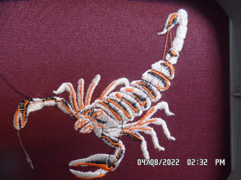 Scorpio Realistic Scorpion Machine Embroidery Design Three - Etsy