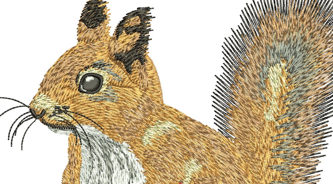 Squirrel Machine Embroidery Design - Etsy