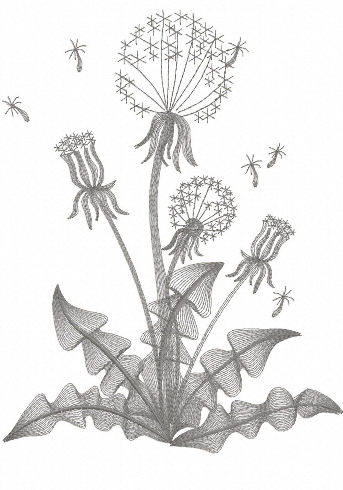 Dandelion Machine Embroidery Designs Three Sizes - Etsy