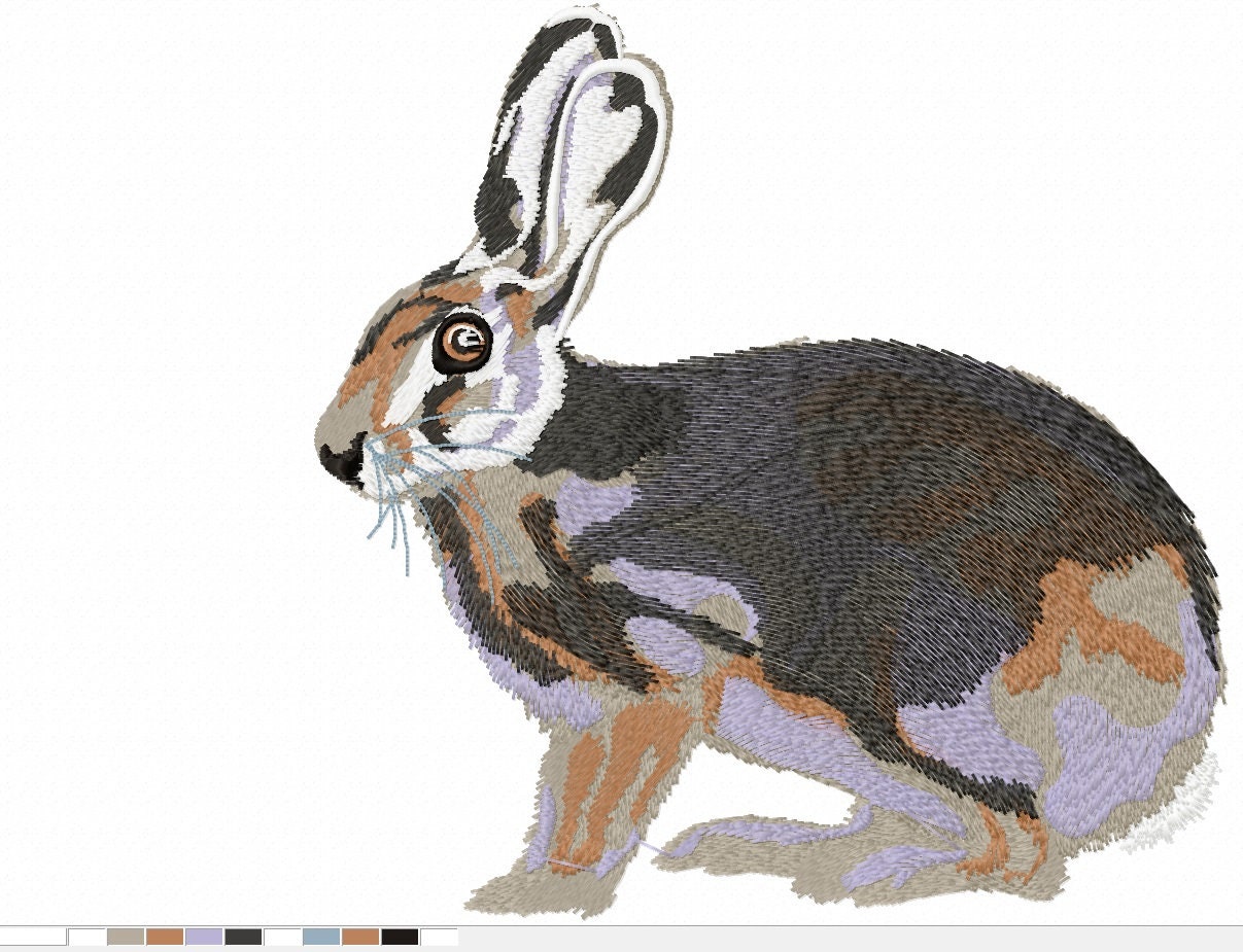 Hare Rabbit Embroidery Machine Embroidery Designs Design is - Etsy