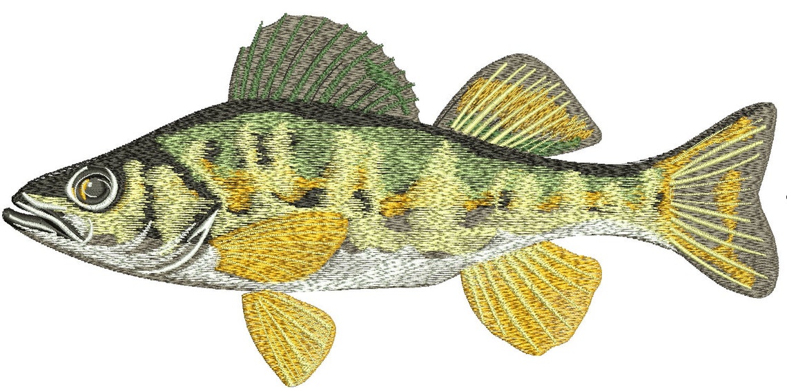 Perch / Bass Machine Embroidery Design Instant Download - Etsy