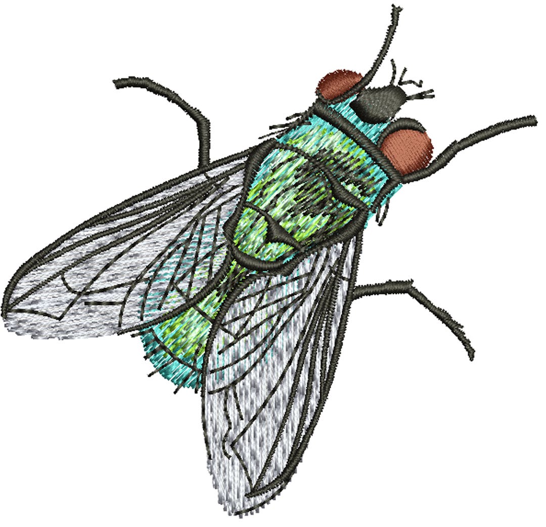 Realistic Green Fly - Calliphoridae Machine Embroidery Designs INSTANT ...