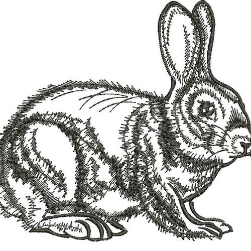 Machine Embroidery Design Bunny PES Instant Download 4x4 Hand - Etsy
