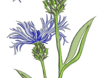 Cornflower Machine Embroidery Design, Cornflowers Flowers Embroidery ...